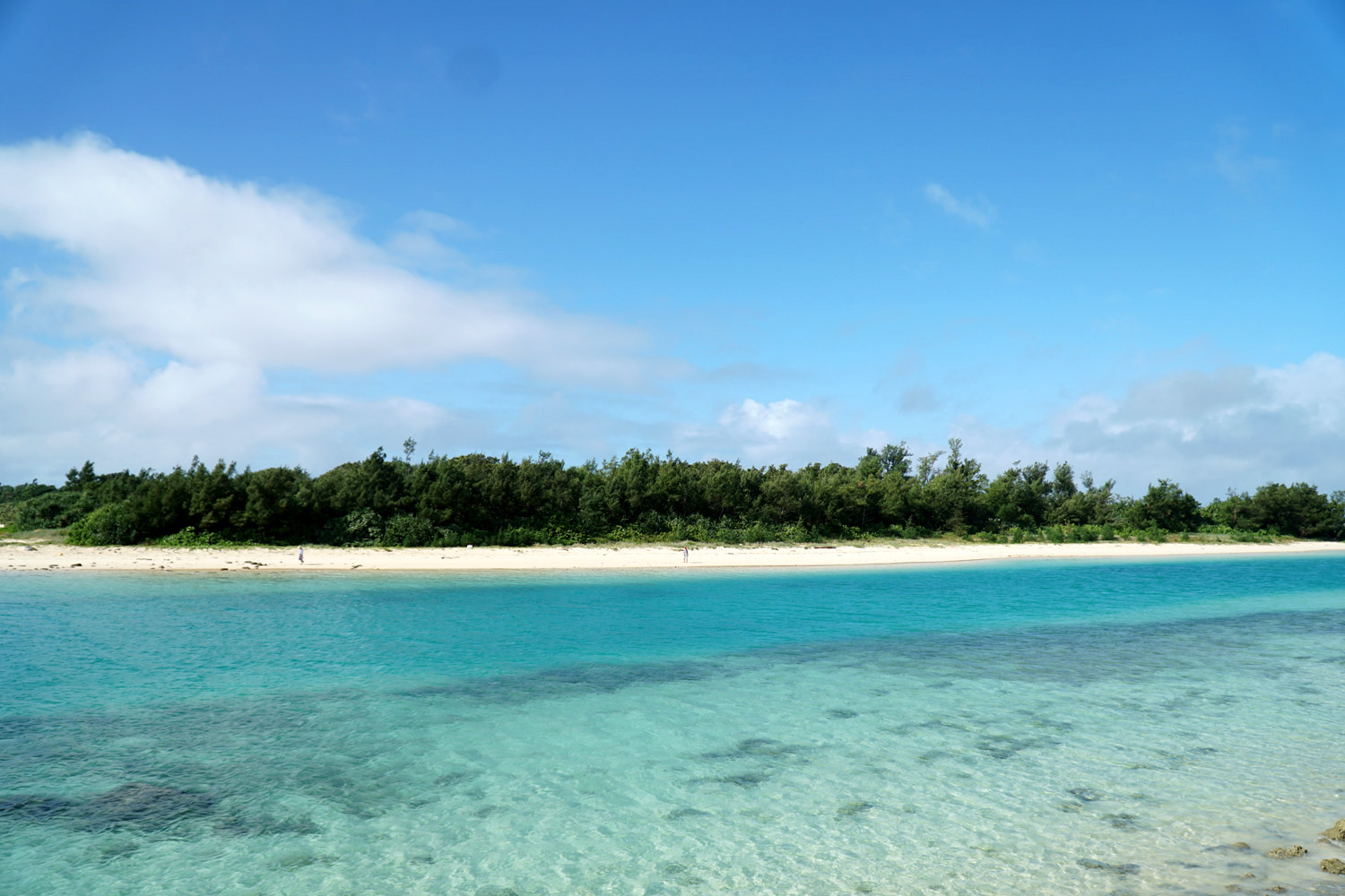 kokunai | こじんまり: 沖縄・北海道・国内＆ハワイのリゾートウェディングウェディングこじんまり: 沖縄・北海道・国内＆ハワイの ...